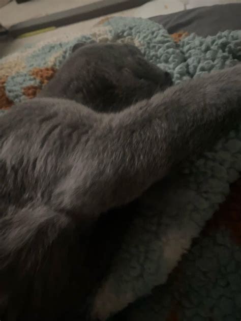 This Wandering Trader Decided To Spawn Beside My Librarian Villager Rminecraft This Wandering Trader Decided To Spawn Beside My Librarian Villager Rminecraft