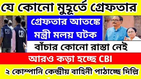 Primary 2014 Update 2014 Primary Not Included Update Primary Tet News Today YouTube