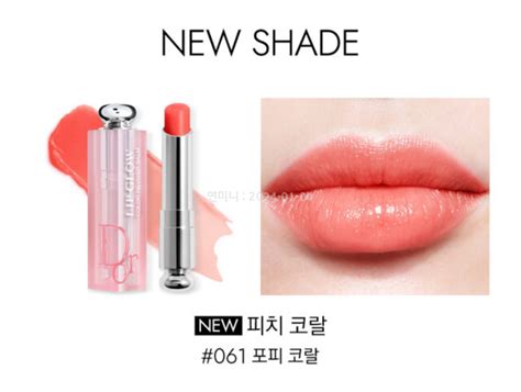 디올 어딕트 립글로우 피치코랄조공용 신상컬러 48 인기정보 어미새