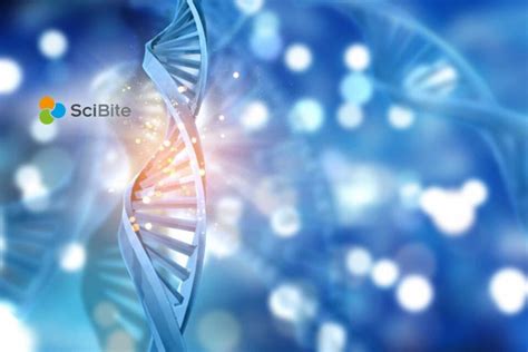 Scibite Launches Ai Platform To Leverage Ml Models For Life Sciences Ai Tech Park