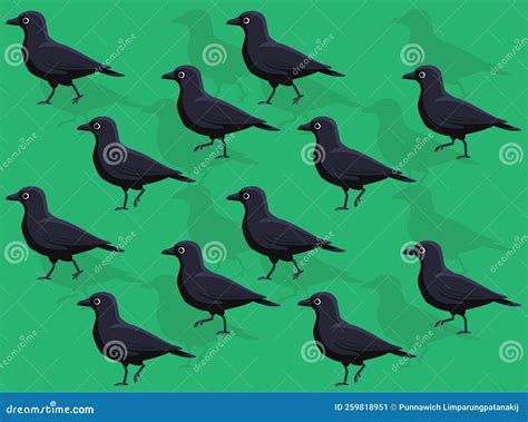 Crow Fly Sequence Black Flying Raven Silhouette Black Bird Wing Move
