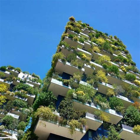 What Is Regenerative Design Arup