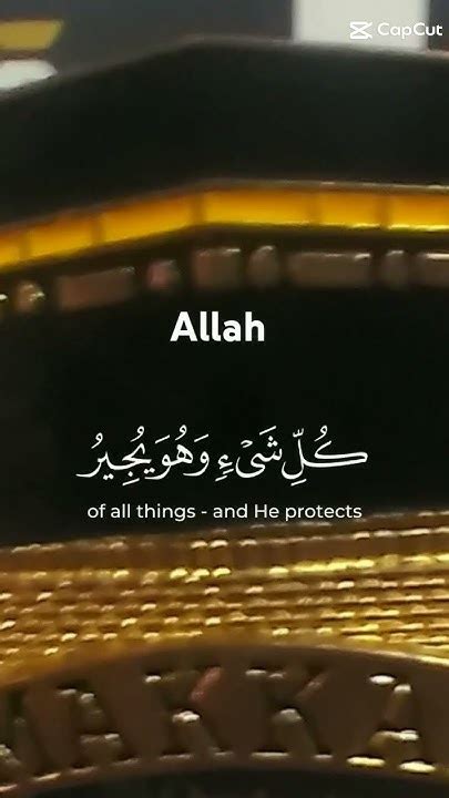 13 March 2025 Youtube