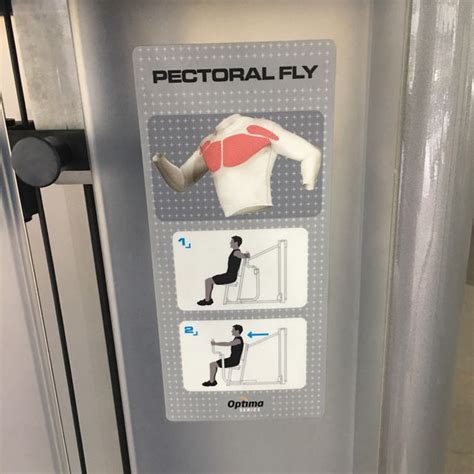 Pectoral Fly By Young Han Exercise How To Skimble