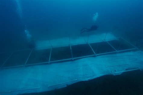 The Excavation Grid Photo Marino Brzac Download Scientific Diagram