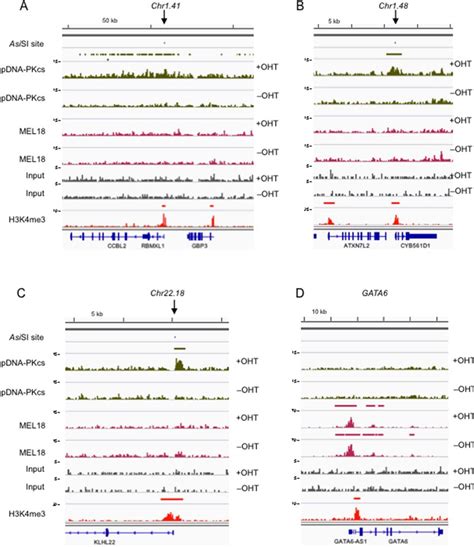 Examples Of Chip Seq Data At Representative Asisi Sites And Pcg Target
