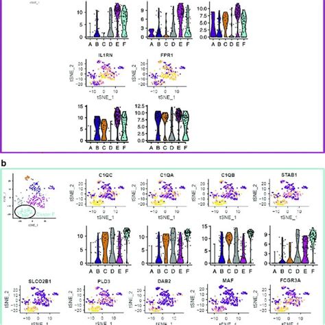 Gene Expression Of Discriminating Genes Of Cluster A B C Feature
