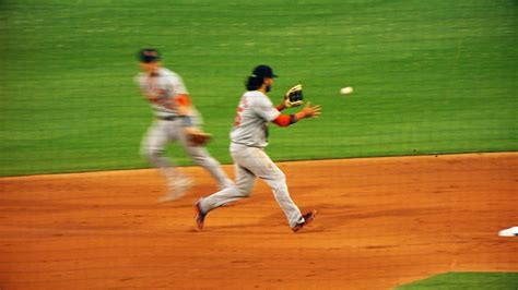 Daily Dash Springers Diving Catch Ellys Throw 06012024