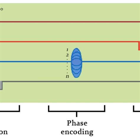 1 Representation Of A Typical Gradient ­echo Pulse Sequence The