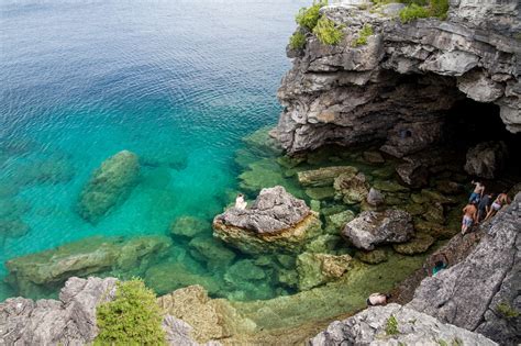 Bruce Peninsula National Park Wildlife