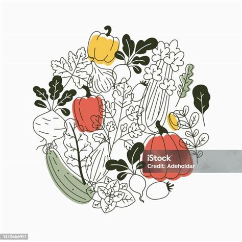 다양한 야채 구성 선형 그래픽 스칸디나비아 미니멀 한 스타일 유기농 식품 디자인 벡터 그림입니다 개념에 대한 스톡 벡터 아트 및 기타 이미지 Istock