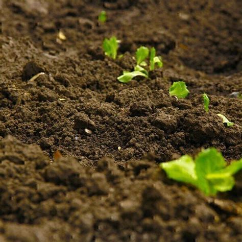 What Are The Different Types Of Soil Remediation Pollution Solutions Online