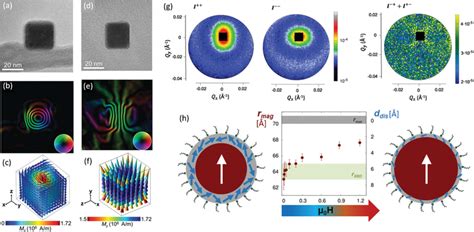 Nanoscale Magnetization In Magnetic Nanoparticles A F Magnetic Download Scientific Diagram
