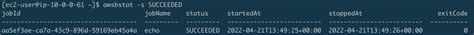 在中国区部署 amazon parallelcluster 3 0 亚马逊aws官方博客