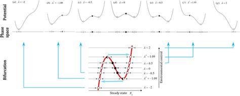 Illustration Of Potential Phase Space And Bifurcation Based On The Download Scientific