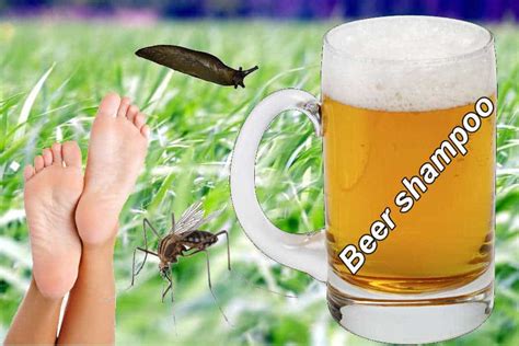 26 Uses Of Stale Beer To Try At Home When Your Beer Goes Off
