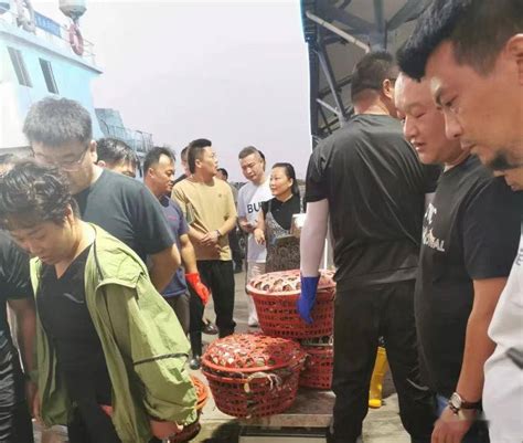 梭子蟹、金钩虾南通启东：“第一网”海货已到，请上海市民尝鲜！作业渔船捕捞