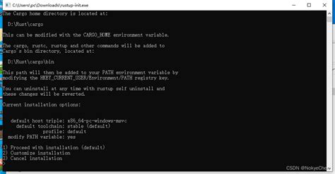 Win10 Rust环境配置以及vscode调试环境配置rust配置到环境变量中 Csdn博客