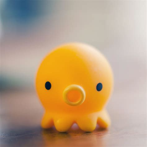 Cute Octopus Wallpaper 43 Images