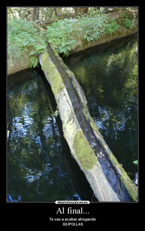 Im Genes Y Carteles De Ahogando Pag Desmotivaciones