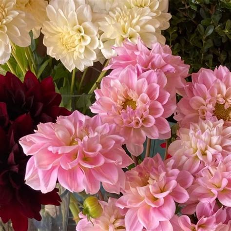 Mika Mika Threads Say More