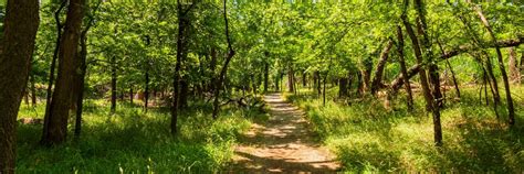 Forms • Sand Springs Ok • Civicengage