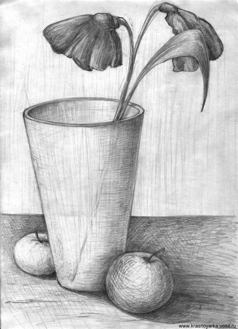 Как нарисовать натюрморт простым карандашом