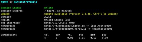 Get Started With PHP Using PHP Server Plivo Voice