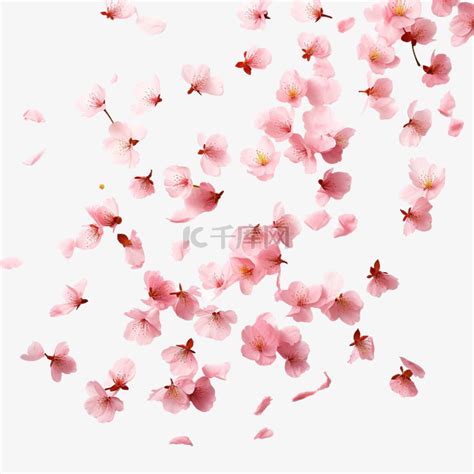 飞舞的樱花花瓣素材图片免费下载 千库网