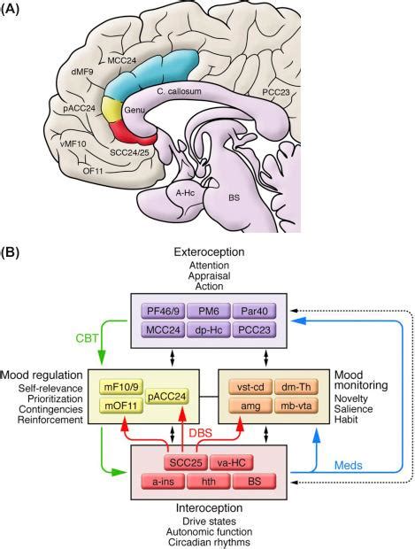 Subgenual Cingulate Deep Brain Stimulation For Treatment Resistant