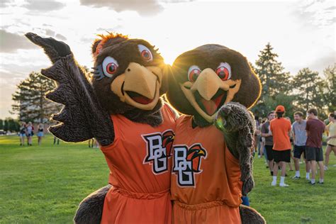 Falcons Mascot