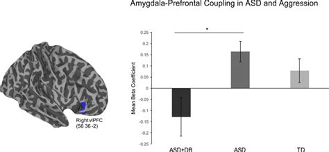 mean b coefficients for the right ventrolateral prefrontal cortex