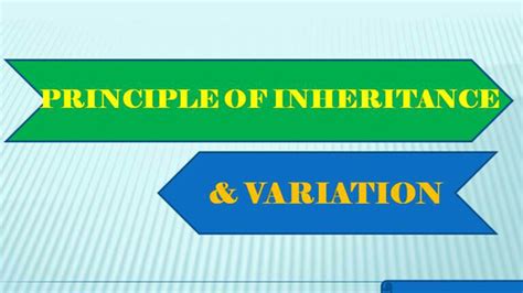 Cbse Class 12 Honey Bee Sex Determination Offered By Unacademy