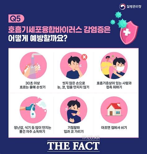 시흥시 호흡기세포융합바이러스rsv 감염 주의 당부 전국 기사 더팩트