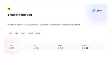 如何防范空指针访问 Labex