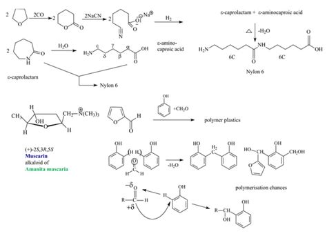 Five And Six Membered Heterocycles Ppt Pdf Chemistry Science