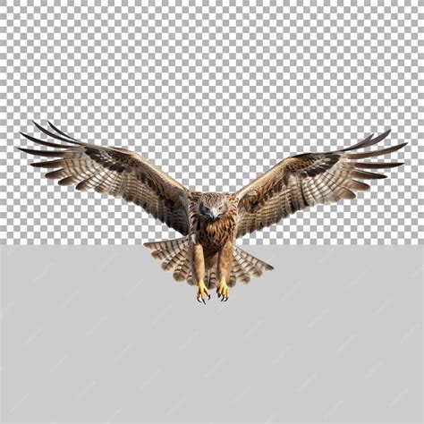 투명 한 배경 에 날아가는 독수리 Ai 생성 프리미엄 Psd 파일