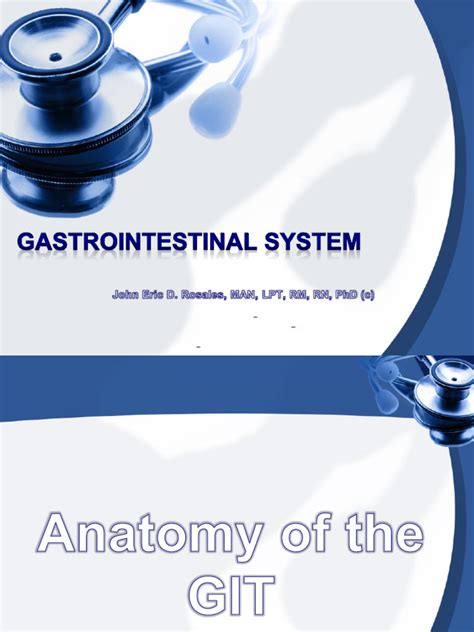 Git Assessment Rosales 2024 Pdf