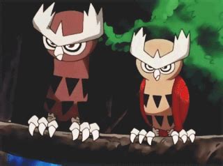 Noctowl Wiki Pok Mon Amino