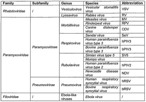 Rna Viruses Rna Rodent Viruses