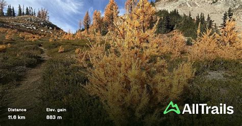 Easy Pass Trail 981 Foton Washington Alltrails