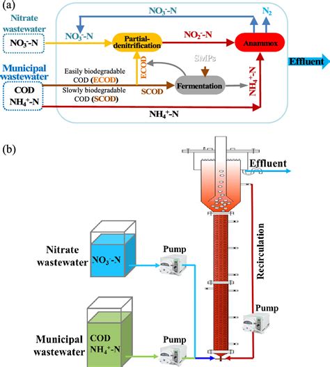 Denitrification Process