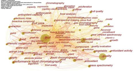Keywords Co Occurrence Network Map Download Scientific Diagram