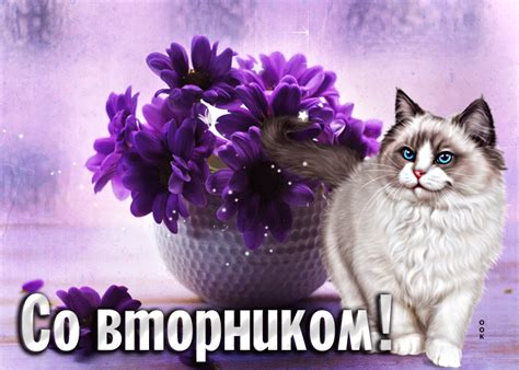 Стильная открытка с котом и цветами Со вторником Скачать бесплатно на
