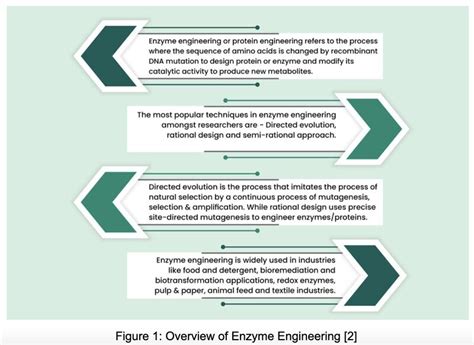 Biocatalyst Overview Introduction A Biocatalyst Is A Natural Catalyst