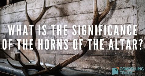 What Is The Significance Of The Horns Of The Altar Compelling Truth