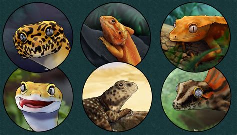 Reptiles Pack By Fihell On Deviantart