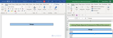 how to add a drop down list in word from excel 2 ways