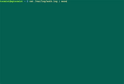 Learn Why Less Is Faster Than More Command For Effective File