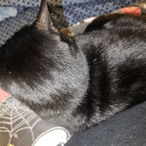 Is My Void A Galaxy Rvoidcats